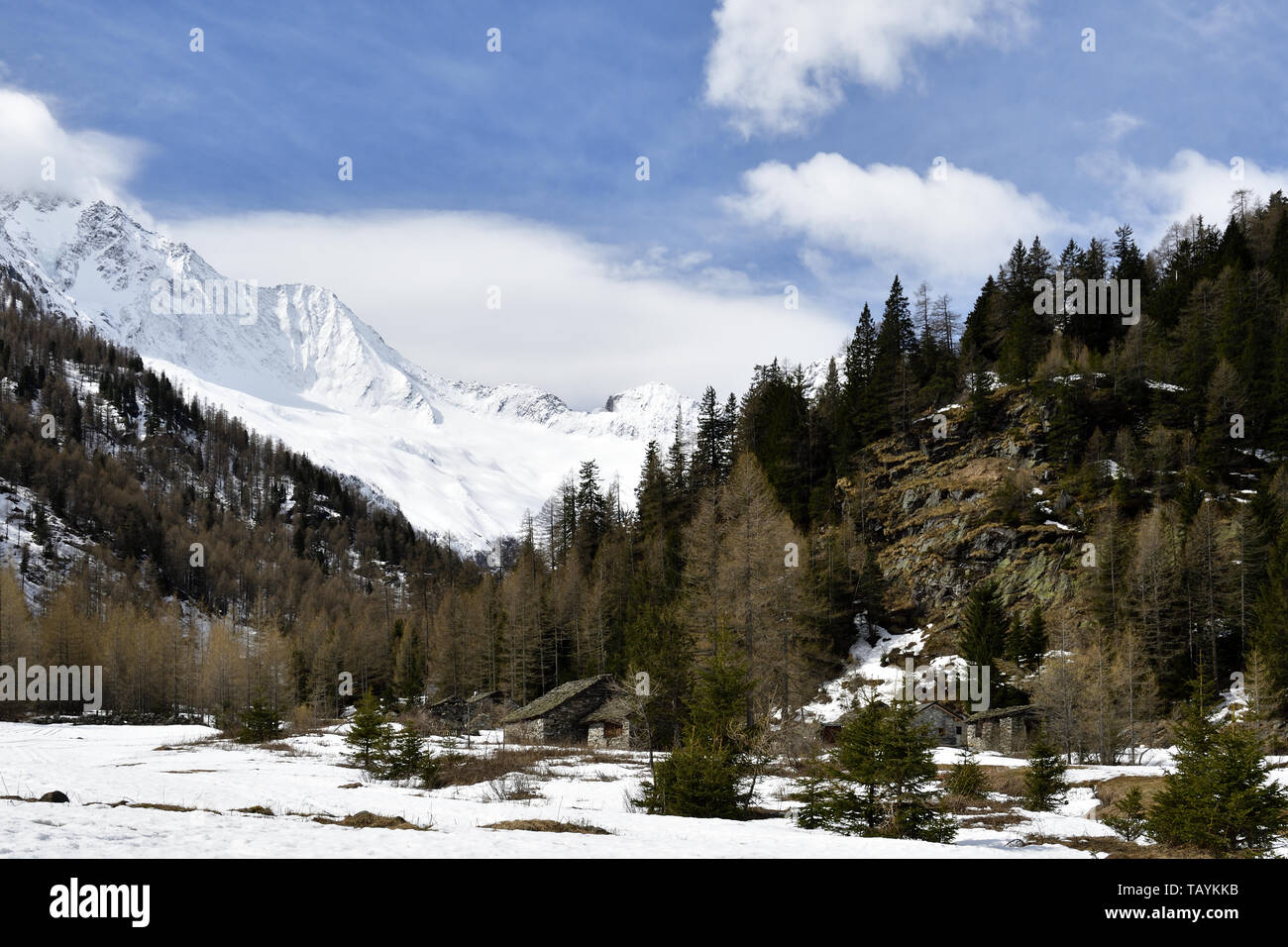 Alps traditional houses in alpe Laresìn in Val Sissone Stock Photo - Alamy