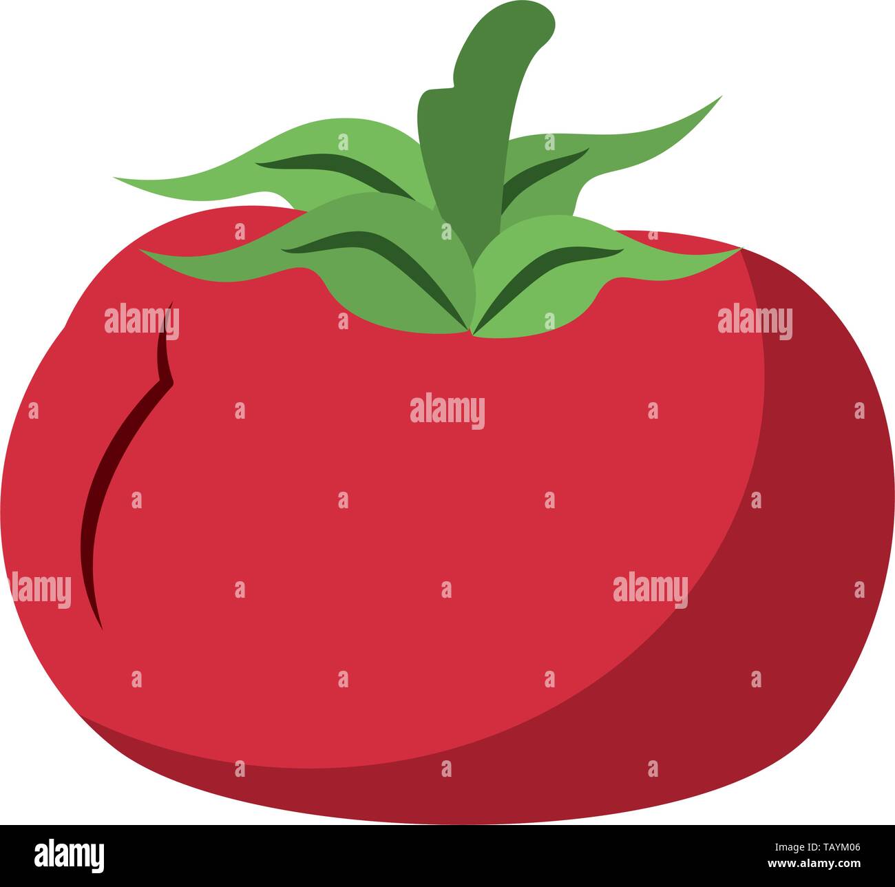 Tomato vegetable healthy food cartoon Stock Vector Image & Art - Alamy