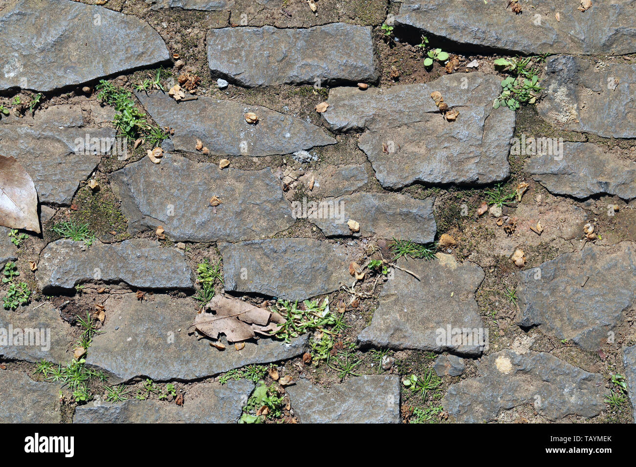 Lovely texture of an outdoor floor made of asymmetric rocks / tiles. In ...