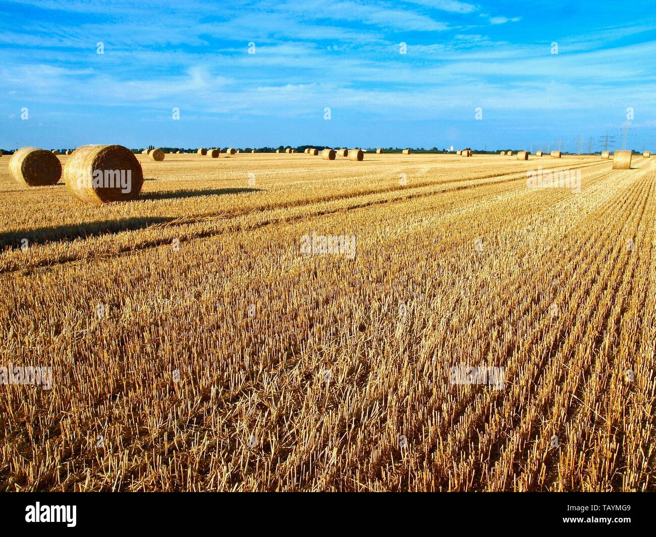 Straw bales on farmland blue hi-res stock photography and images - Alamy