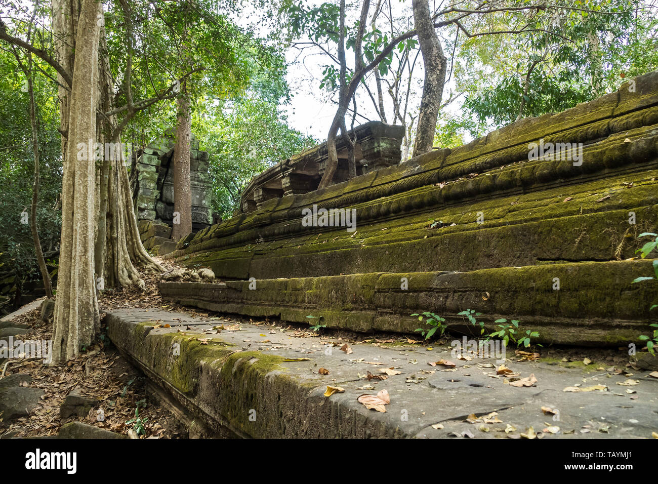 Ruins of ancient Beng Mealea Temple over jungle, Cambodia. Beng Mealea ...
