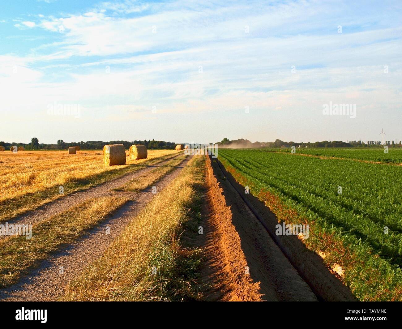 Farmer watering irrigation farm hi-res stock photography and images - Alamy