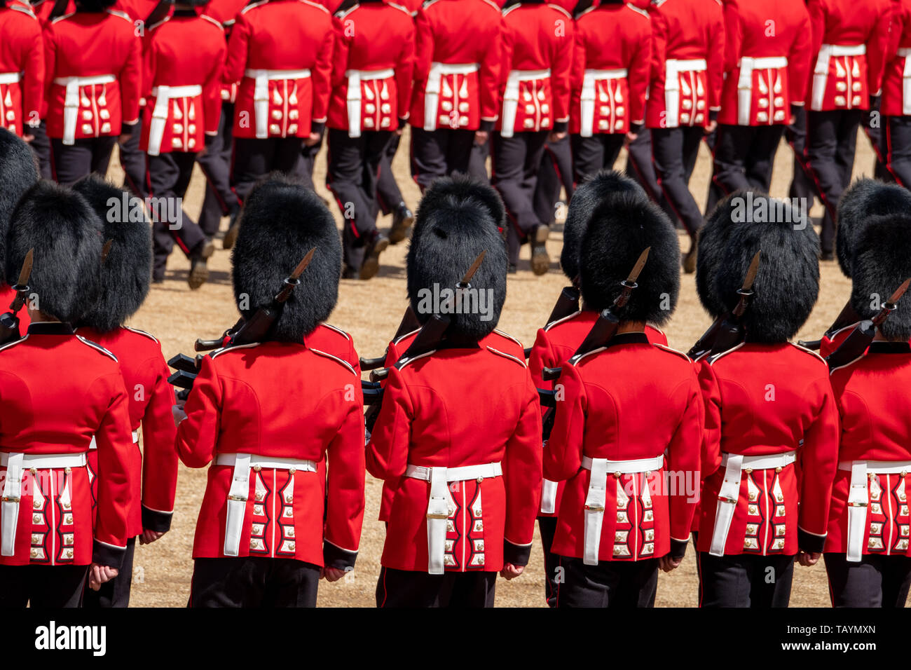 Trooping the Colour parade in Westminster, London UK, showing the ...