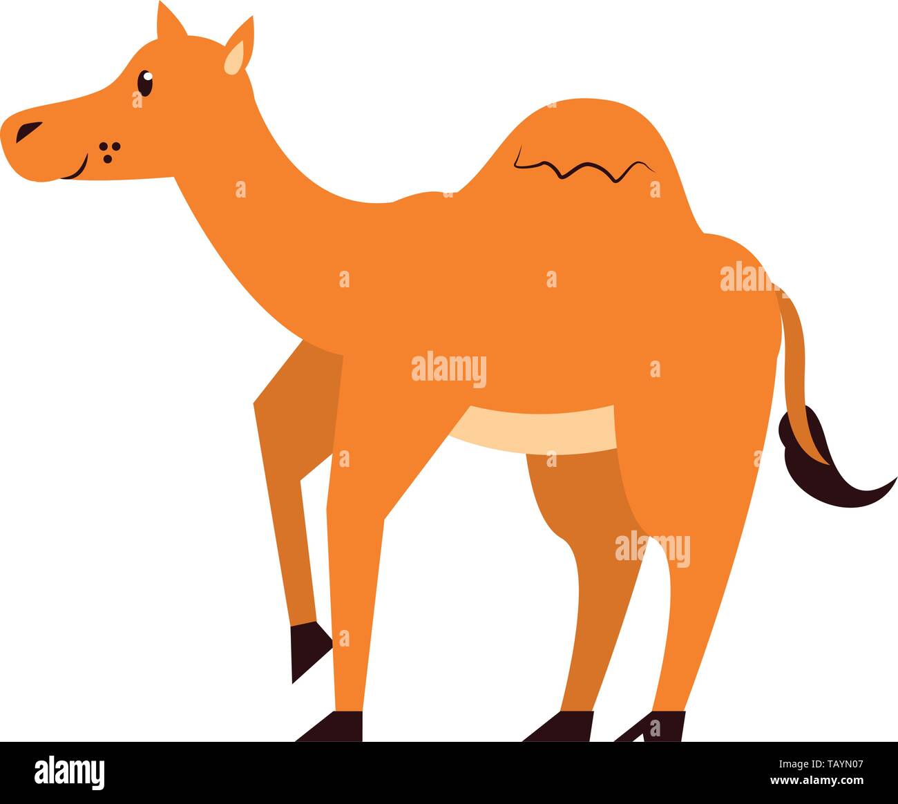Hairy camel Cut Out Stock Images & Pictures - Alamy