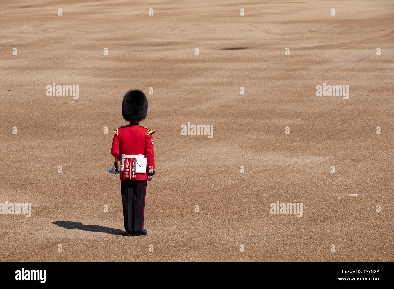 Lone guard at the Trooping the Colour, military parade at Horse Guards ...