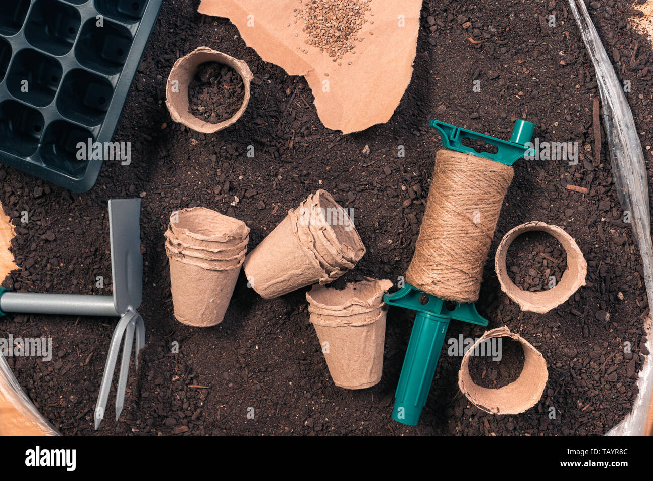 Seeding tomato equipment and soil - biodegradable cardboard pots ...