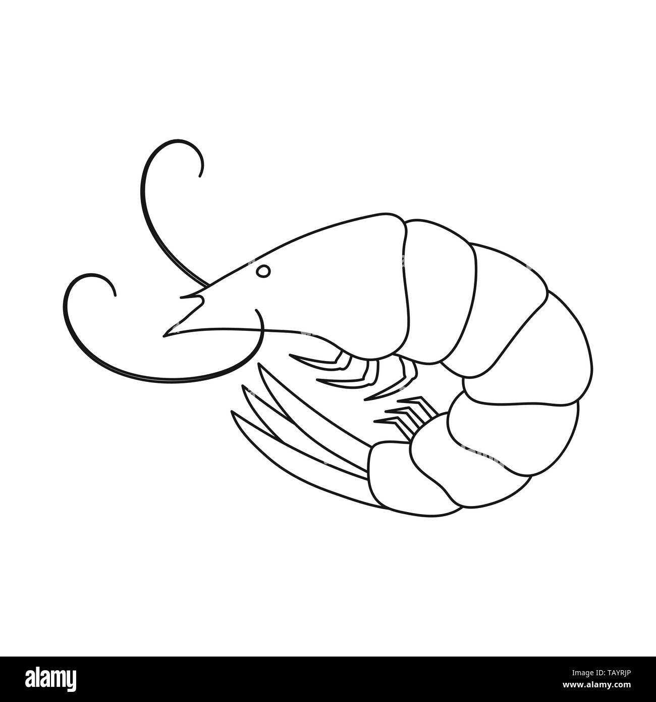 Vector design of prawn and raw sign. Set of prawn and cooked vector ...