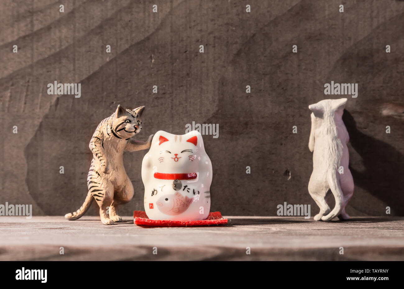 cat toys display on desk Stock Photo - Alamy