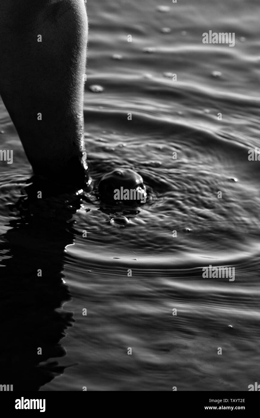Coastal saline lagoons Black and White Stock Photos & Images - Alamy