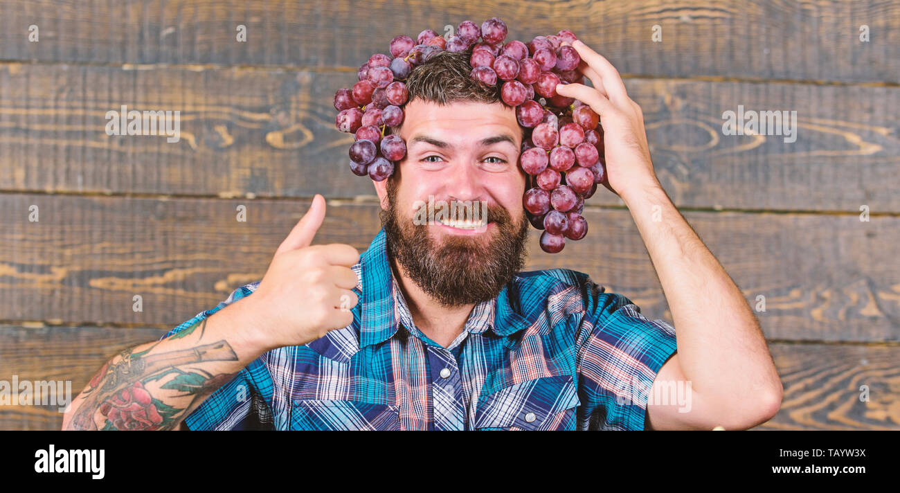 Man hold grapes wooden background. Farmer bearded guy with homegrown ...