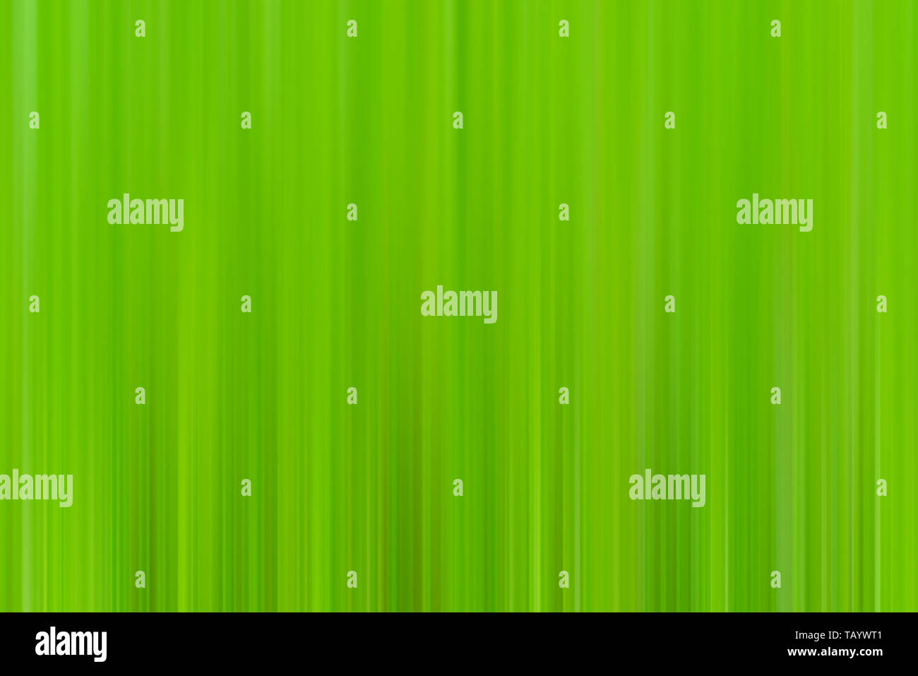 Abstract vertical green lines background Stock Photo - Alamy