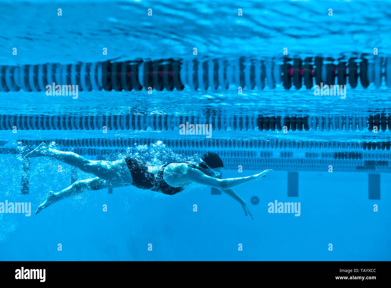 Female swimmer swimming the front crawl Stock Photo - Alamy