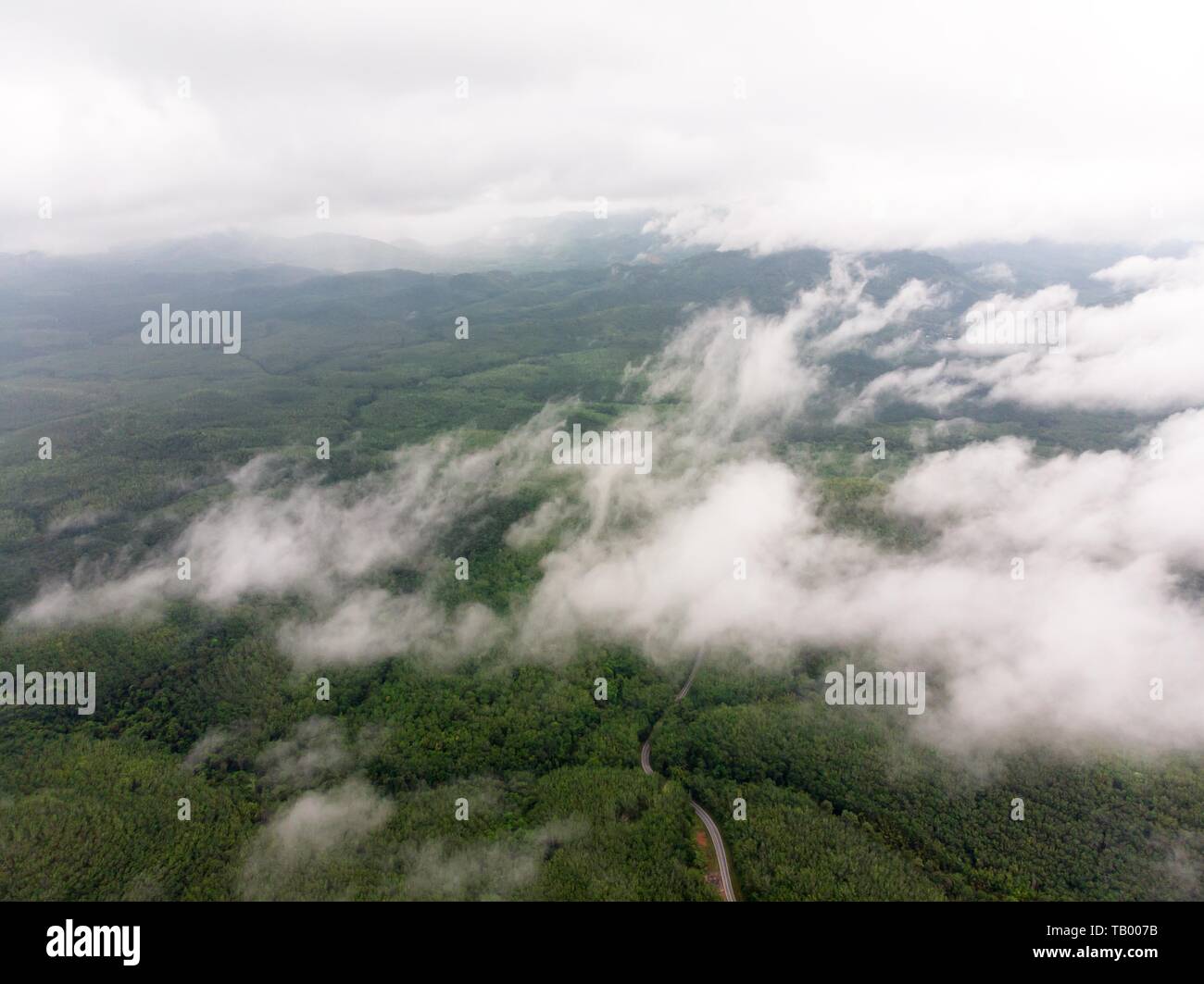 Aerial view in the rainforest with white cloud cover over the forest ...