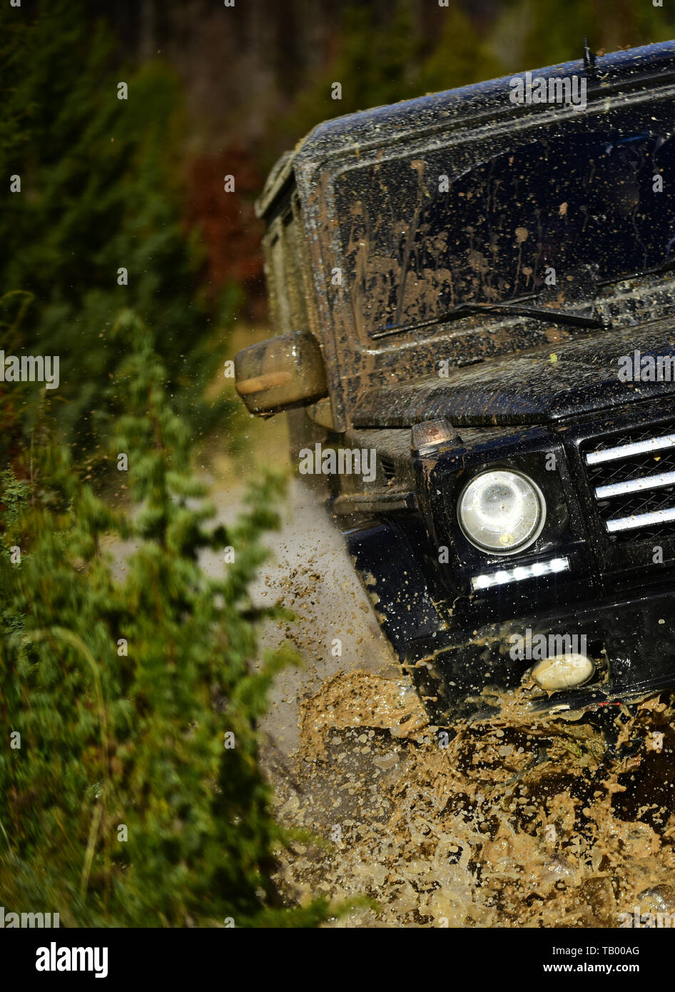 Auto racing on fall nature background. Off road vehicle or SUV crossing ...