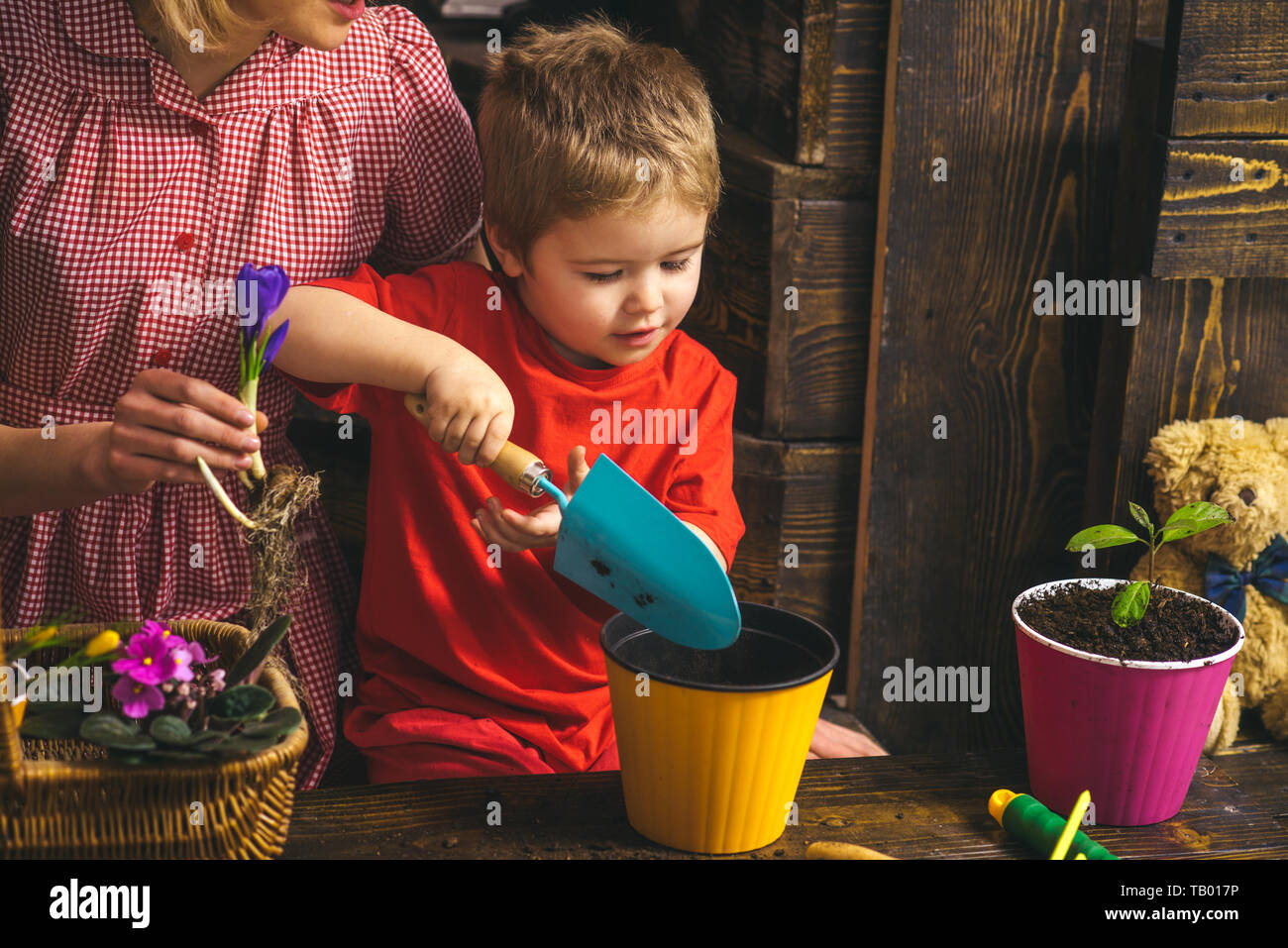 Kid concept. Kid learn planting flower in pot with soil. Little kid ...