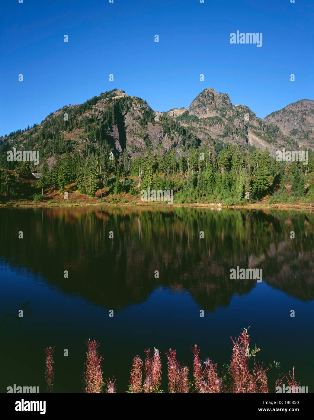 USA, Washington, Mt. Baker Snoqualmie National Forest, Mount Herman is ...