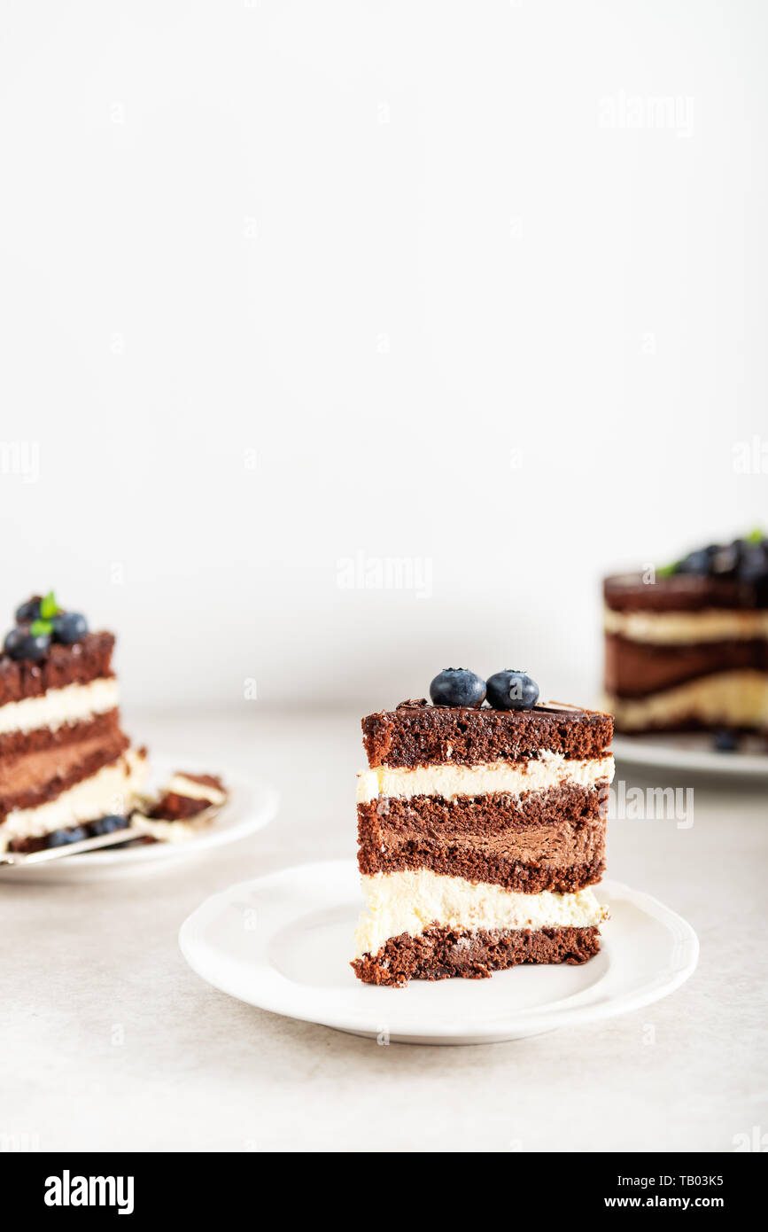 Belgian Chocolate Layered Gateau. Layers of moist choco sponge, vanilla ...