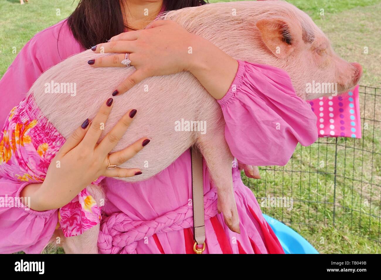 Prissy hi-res stock photography and images - Alamy