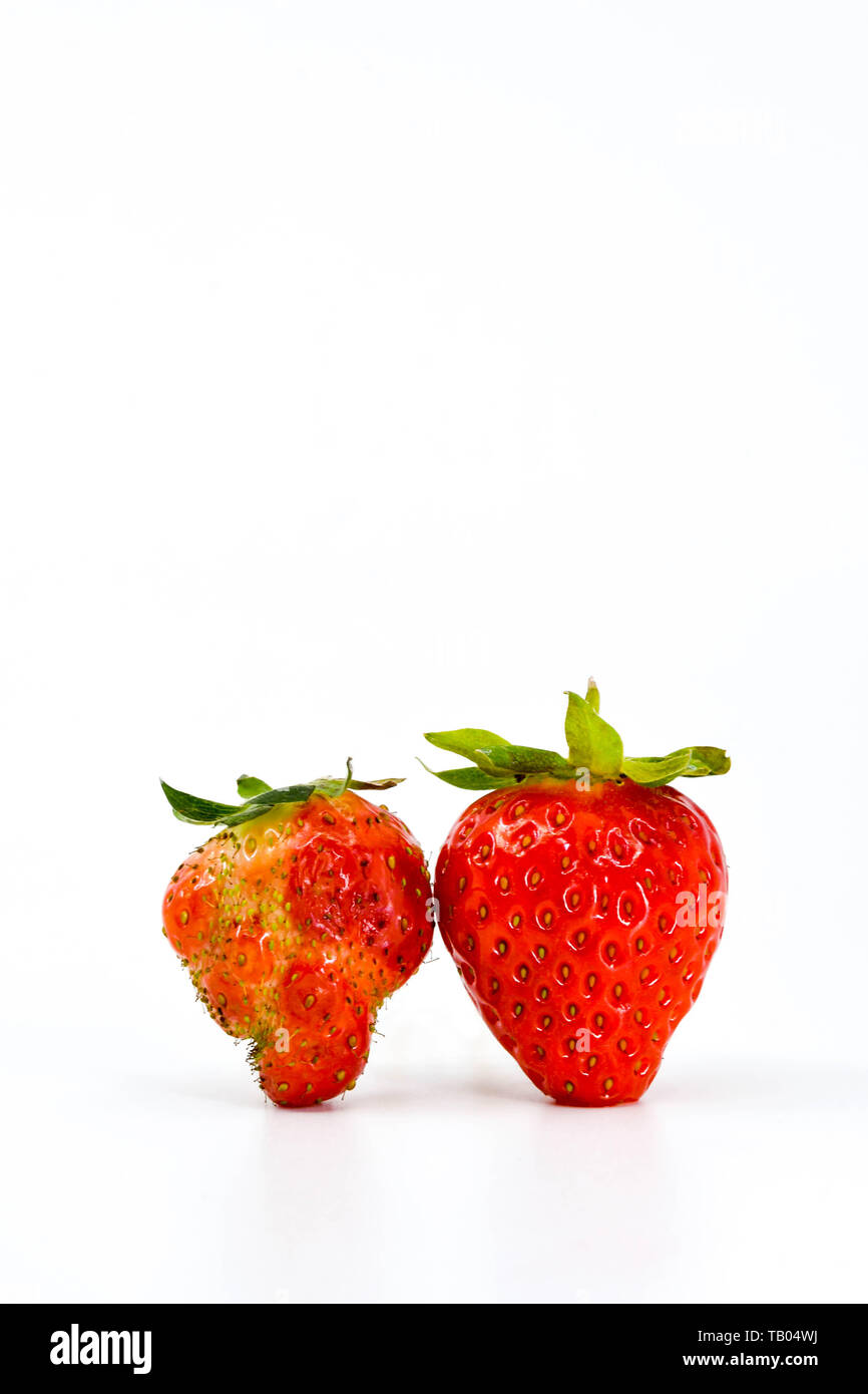 Space at right top Cut Out Stock Images & Pictures - Alamy