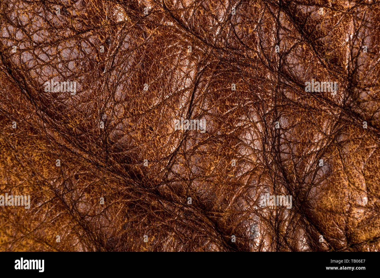 Old vintage genuine soft brown leather texture background, top layer ...