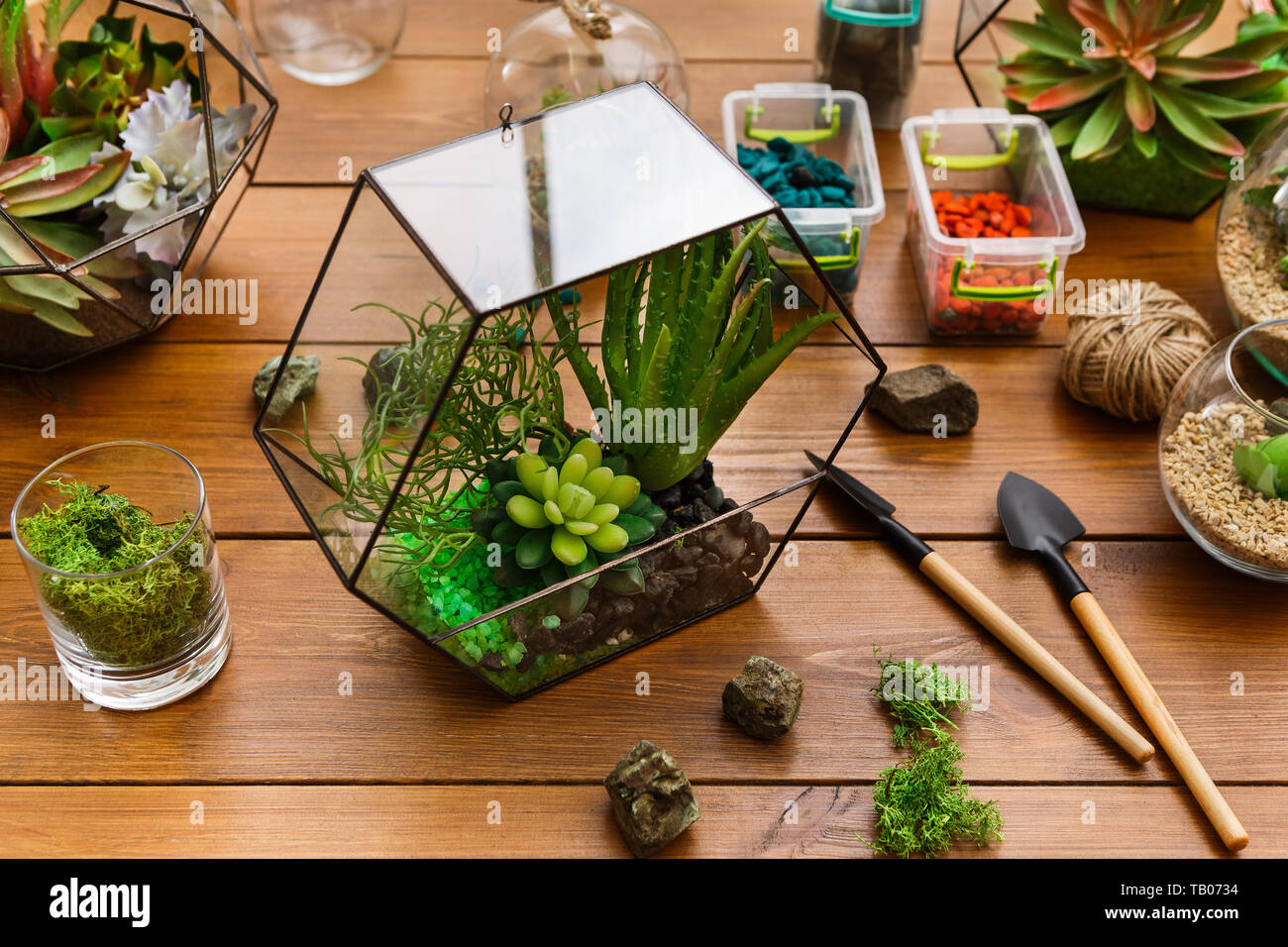 Tools for transplanting hi-res stock photography and images - Alamy