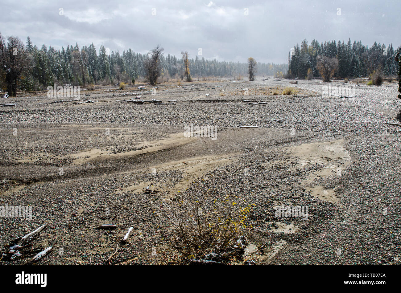 Dry river bed of Pilgrim Creek in the Teton National Park in the U.S ...