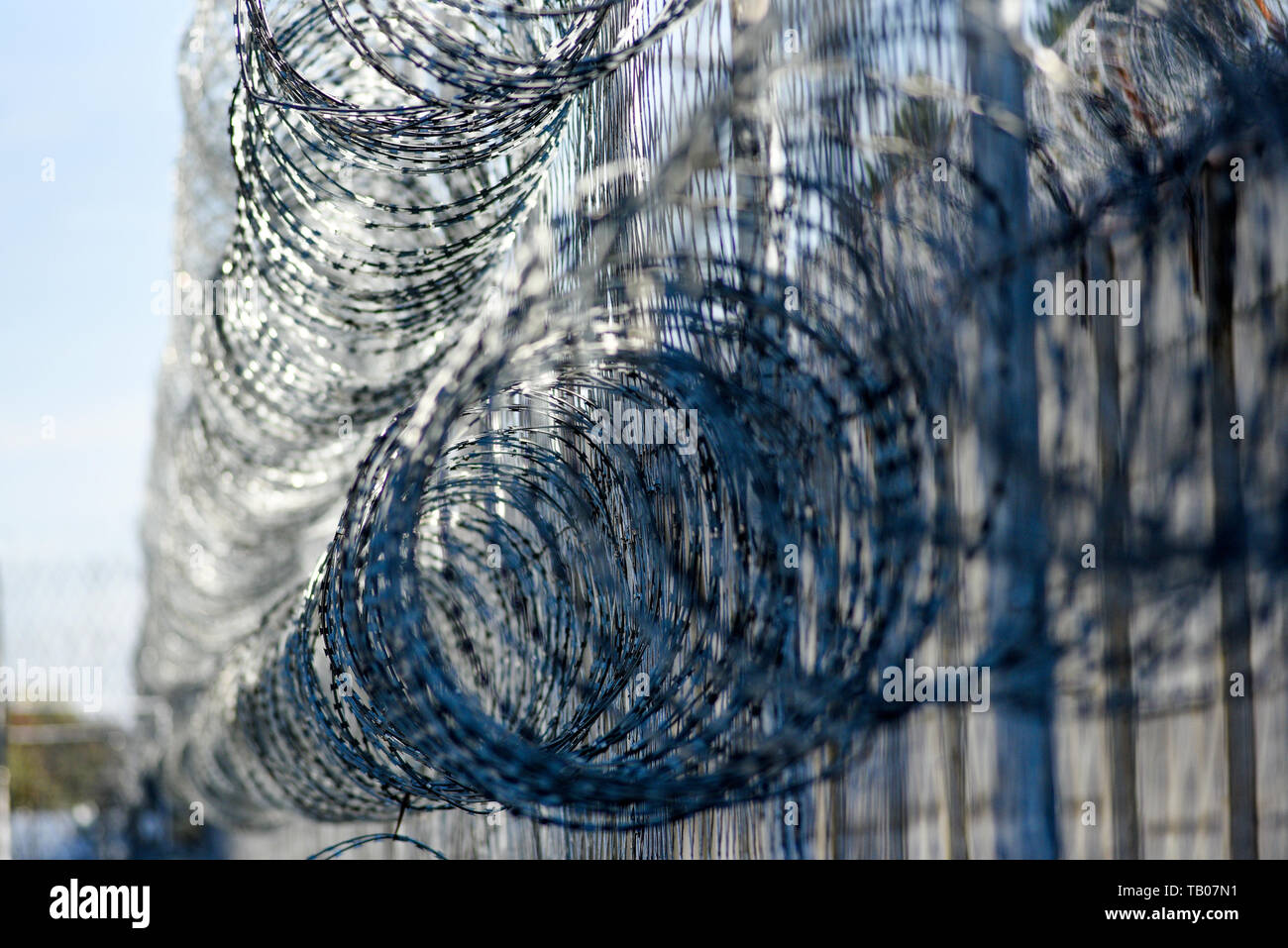 Barbed wire in prison, protecting prisoners from escaping Stock Photo ...