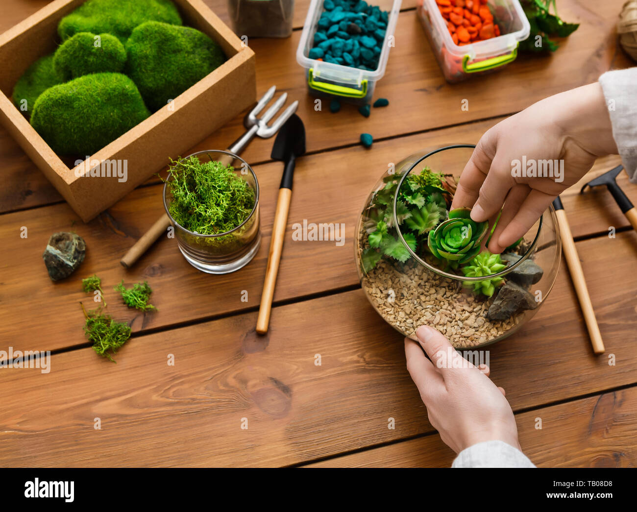 Home master class hi-res stock photography and images - Alamy