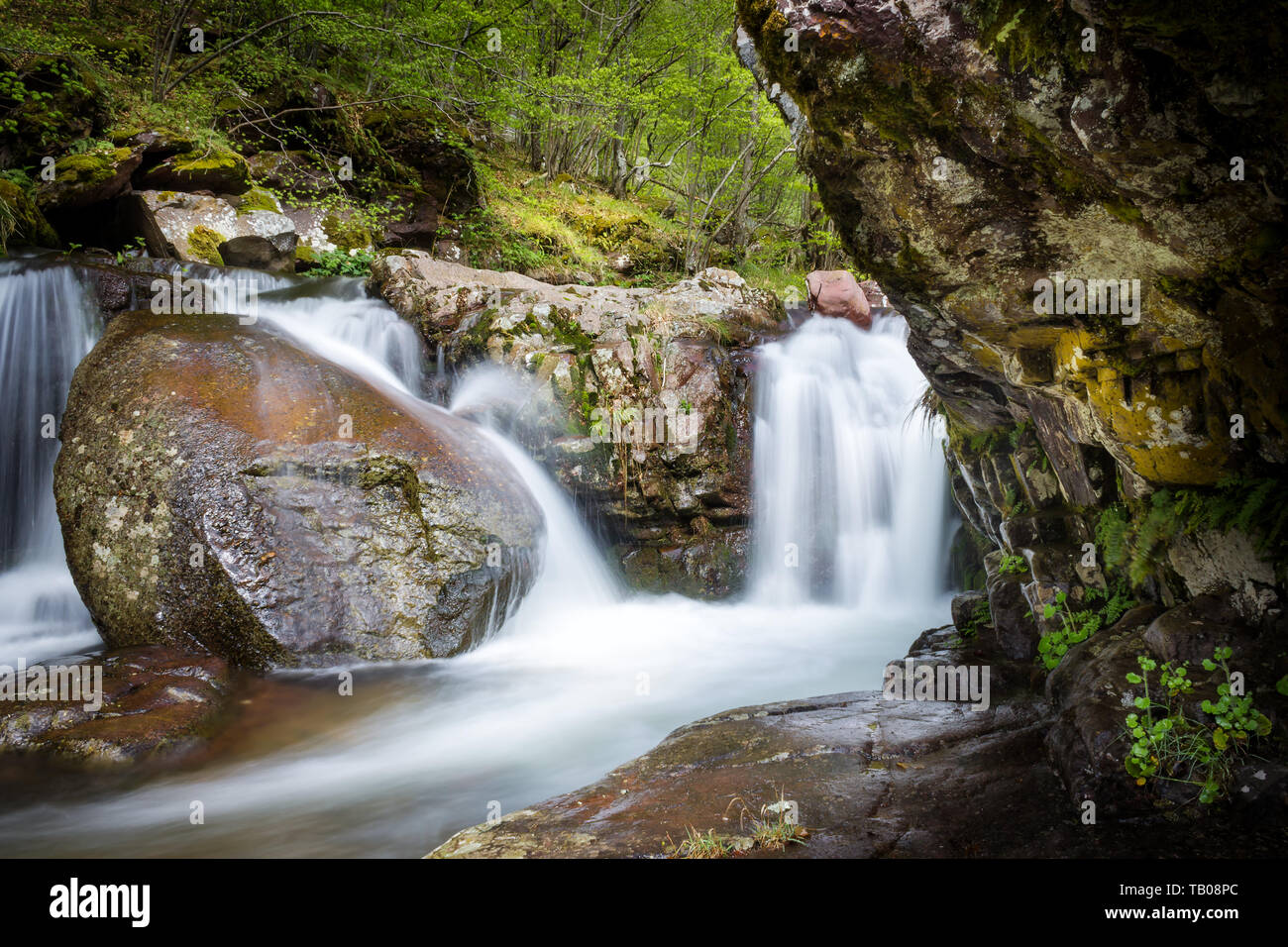 Scenic, beautiful cascades of small waterfall on a mountain creek ...