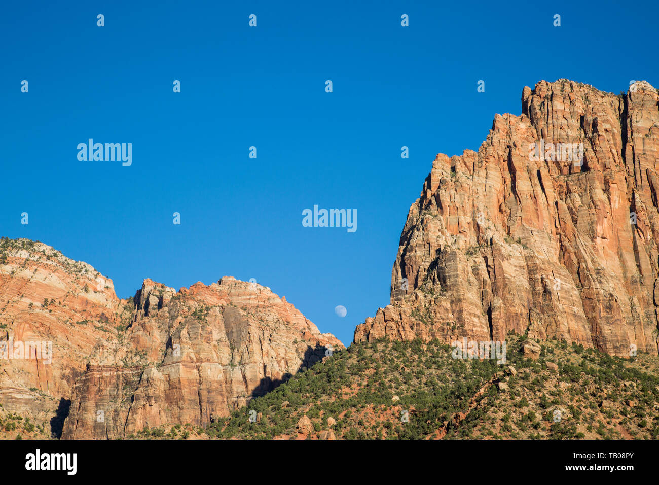 The Watchmen, red rock formations with blue sky in Zion National Park ...