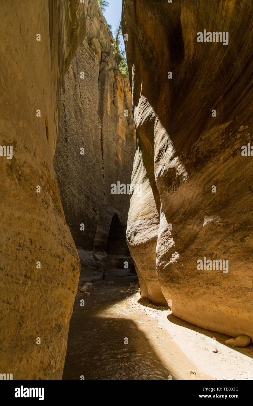 slot canyon in The Narrows, Zion National Park, Utah Stock Photo - Alamy