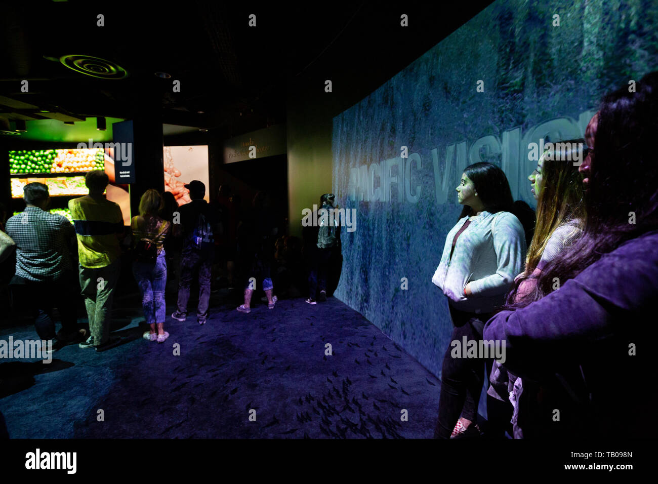 Pacific Visions at Aquarium of the Pacific, Long Beach, CA, USA Stock ...