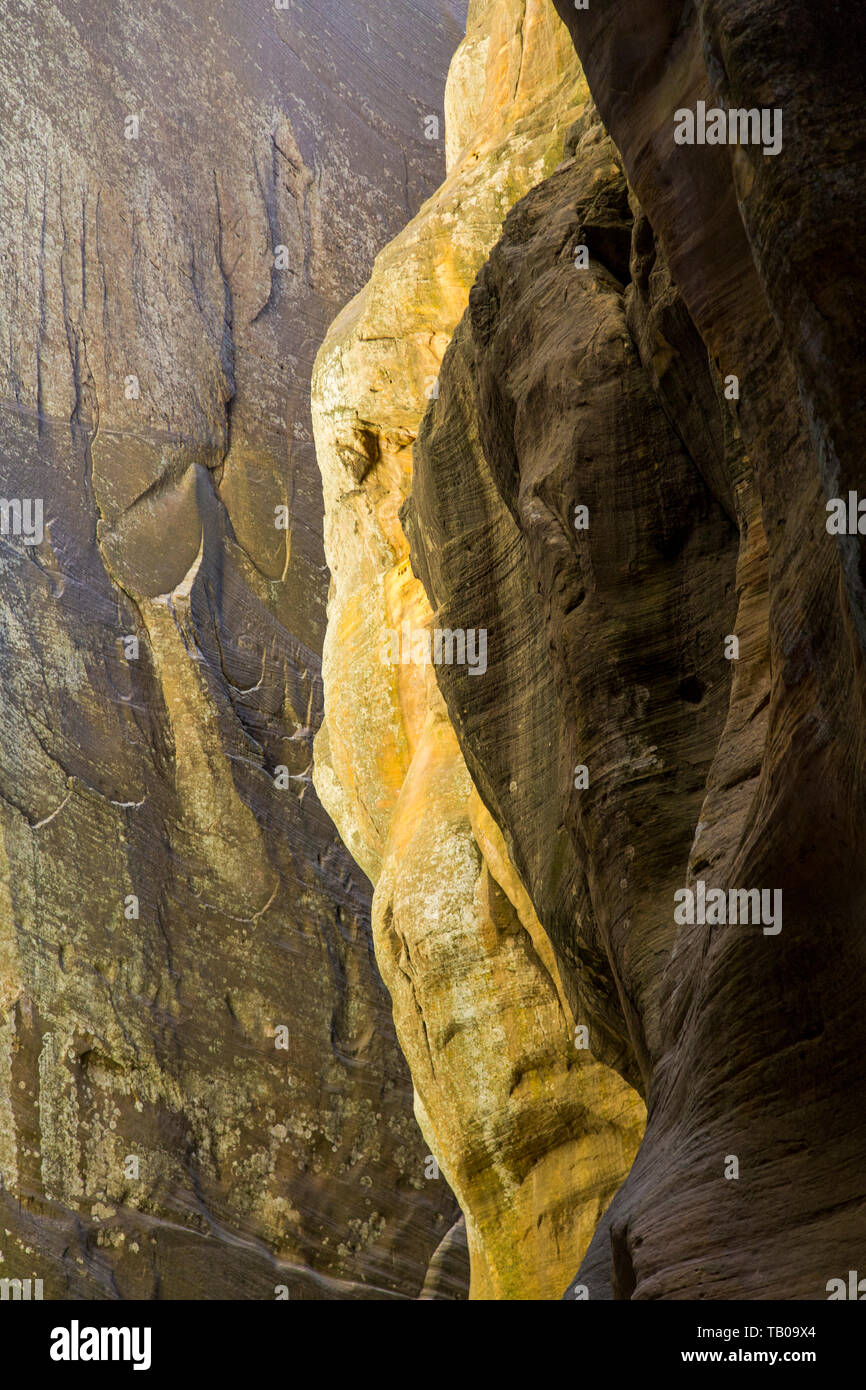 Sun shines golden on rock wall in slot canyon in The Narrows, Zion ...