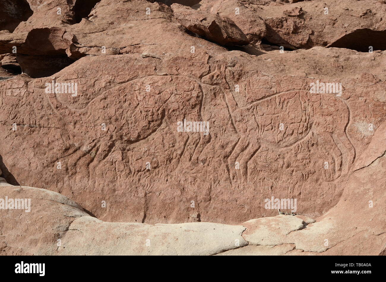 Prehistoric rocks carvings hi-res stock photography and images - Alamy