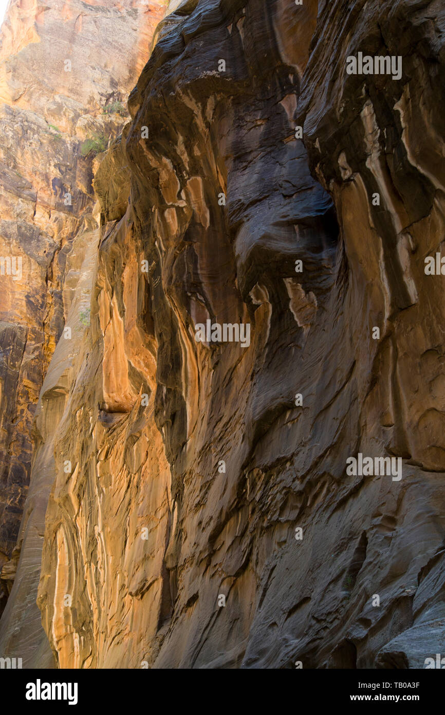 Sun shines golden on rock wall in slot canyon in The Narrows, Zion ...