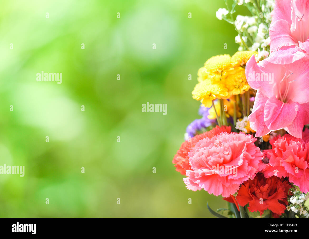 Fresh spring flower bunch colorful plant with carnation flowers ...