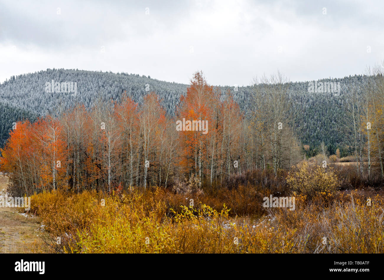 Early Snow Storm on the Teton Range of Grand Teton National Park in the ...
