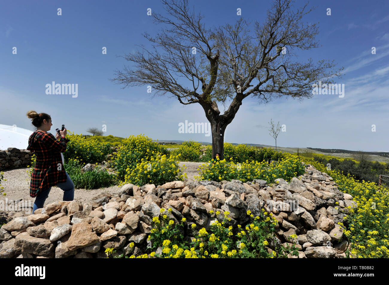 Turkey photographs hi-res stock photography and images - Alamy