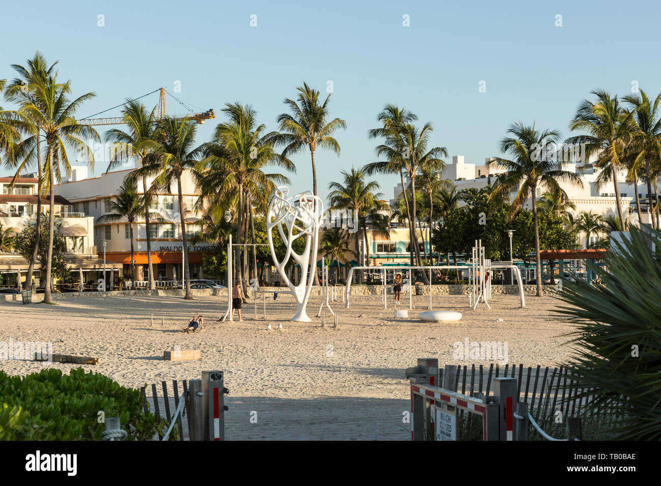 Wide view of people working out early in the morning at muscle beach in ...