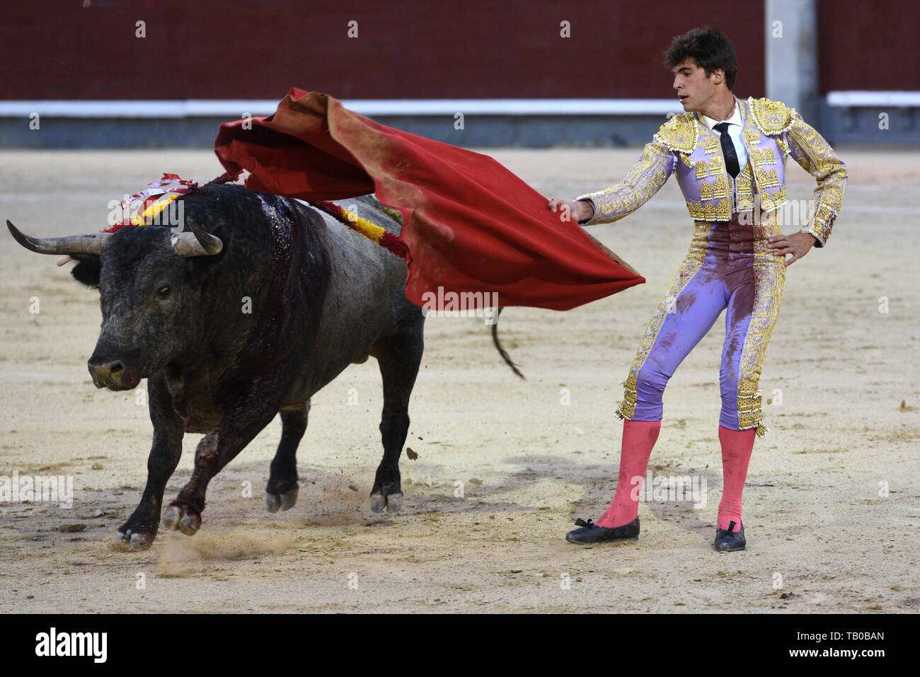 Spanish matador Angel Sanchez is seen performing with a 'Jose Escolar ...