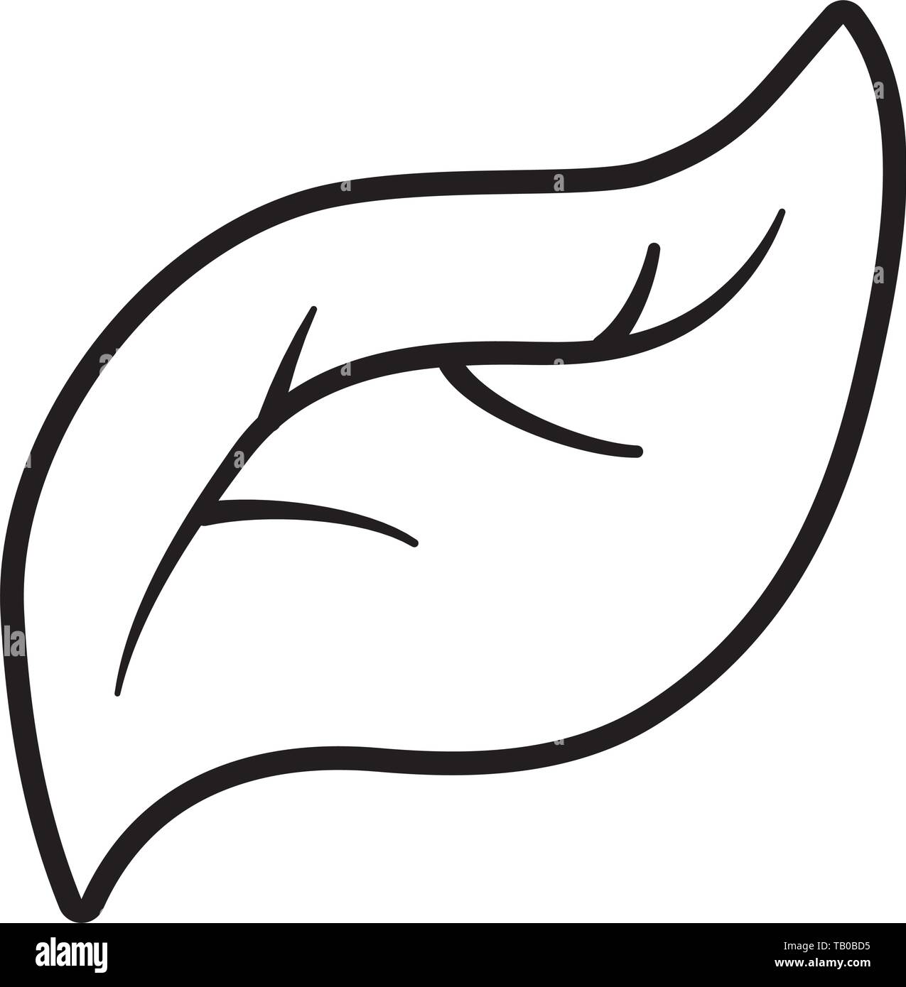 Leaf design, Plant floral garden nature decoration ornament and season ...