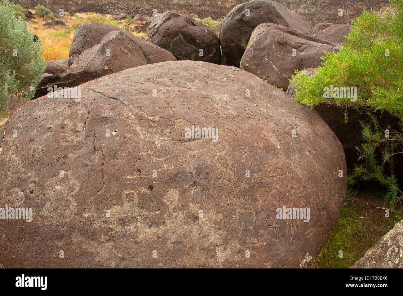 Petroglyphs inscriptions hi-res stock photography and images - Alamy