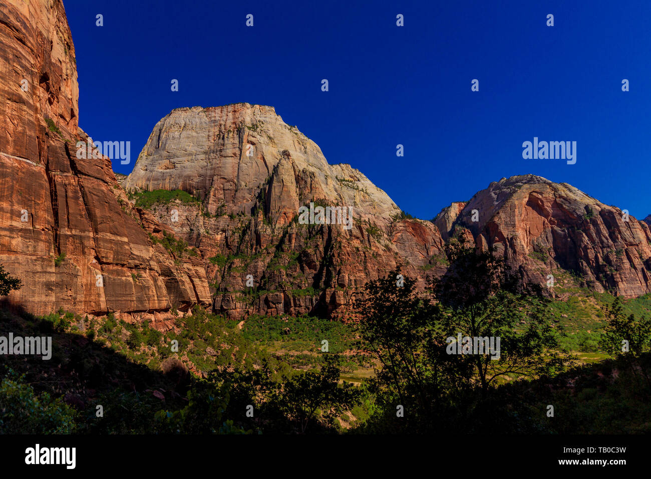 Zion National Park landscape view in Utah, United States Stock Photo ...