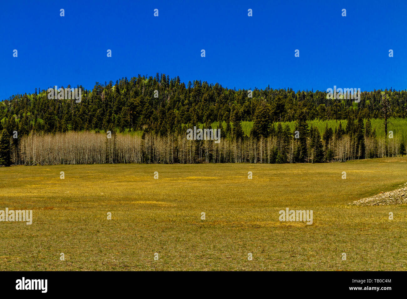Grand Canyon North Rim entrance in Colorado United States Stock Photo ...
