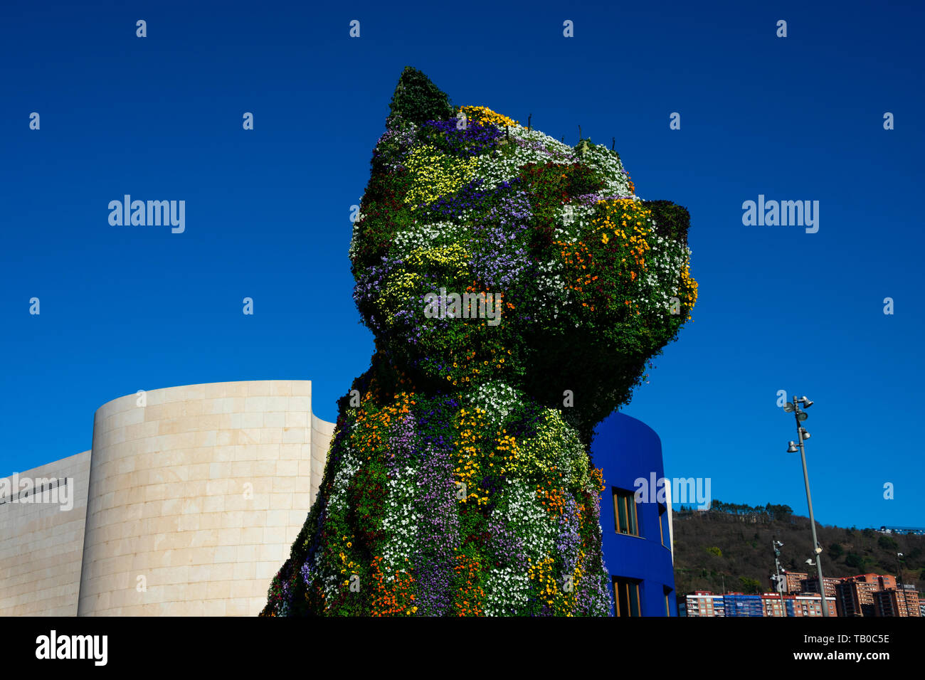 Bilbao, Spain. February 13, 2019. Puppy sculpture covered with flowers ...
