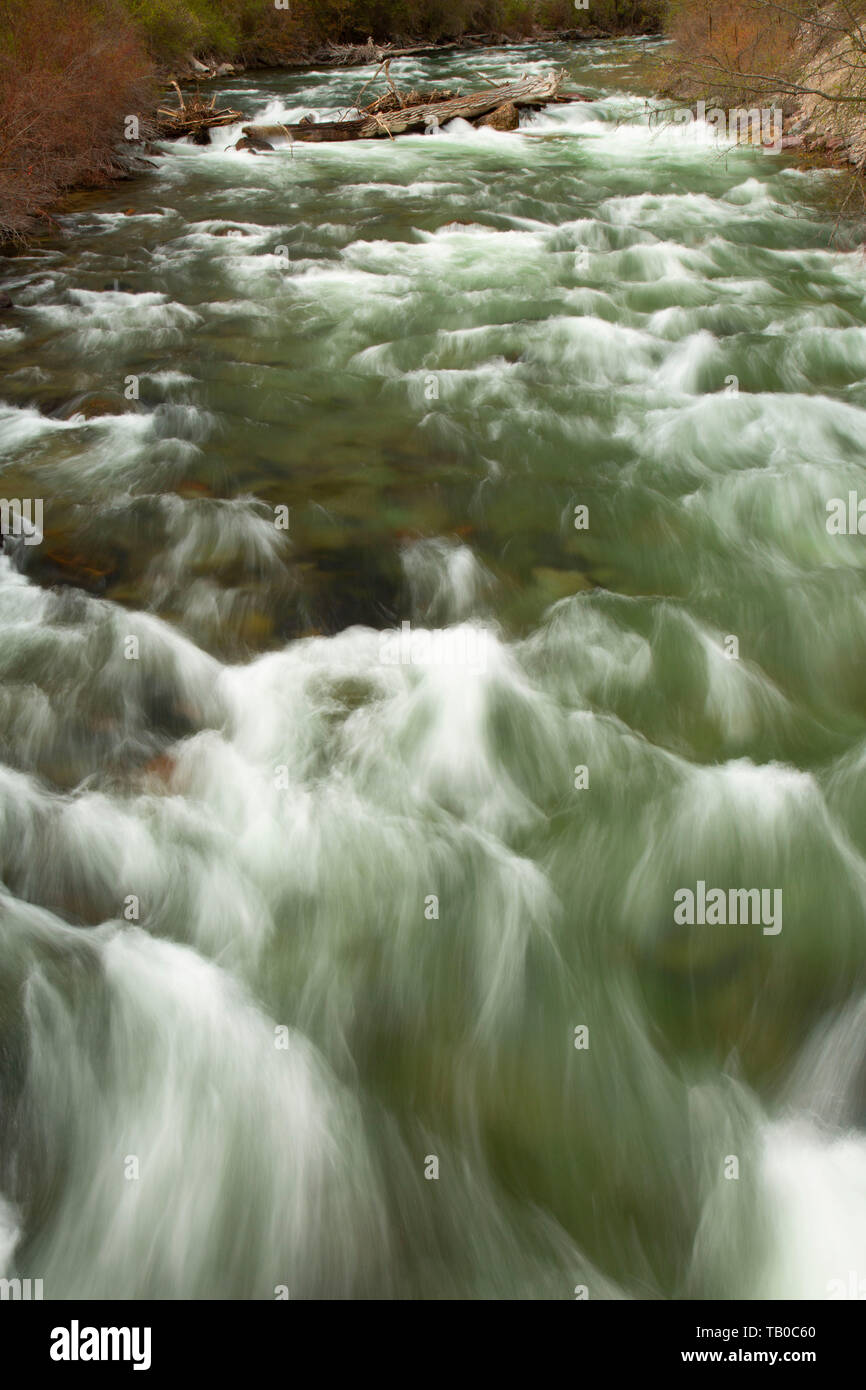 Fish Creek, Fish Creek State Park, Montana Stock Photo - Alamy