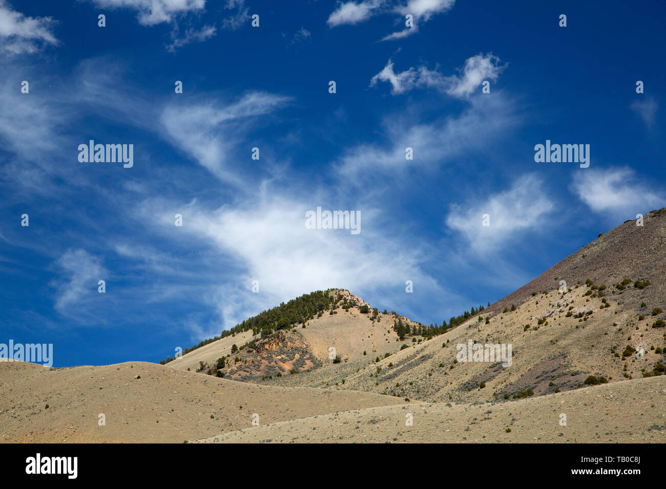Tendoy Mountains, Big Sheep Creek National Back Country Byway, Montana ...