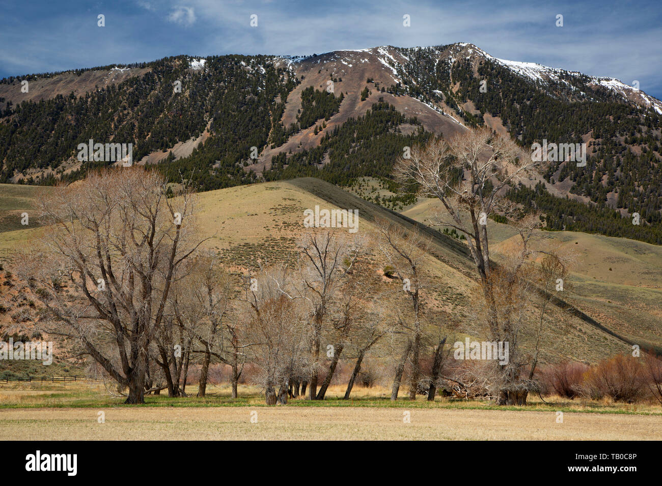 Tendoy Mountains, Big Sheep Creek National Back Country Byway, Montana ...