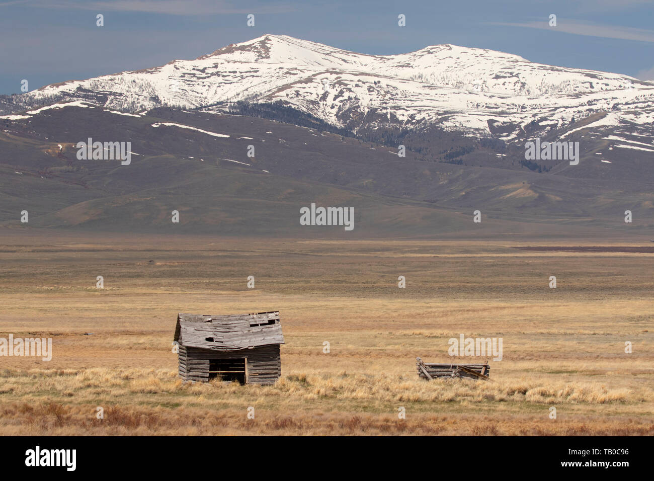 Beaverhead ranch hi-res stock photography and images - Alamy