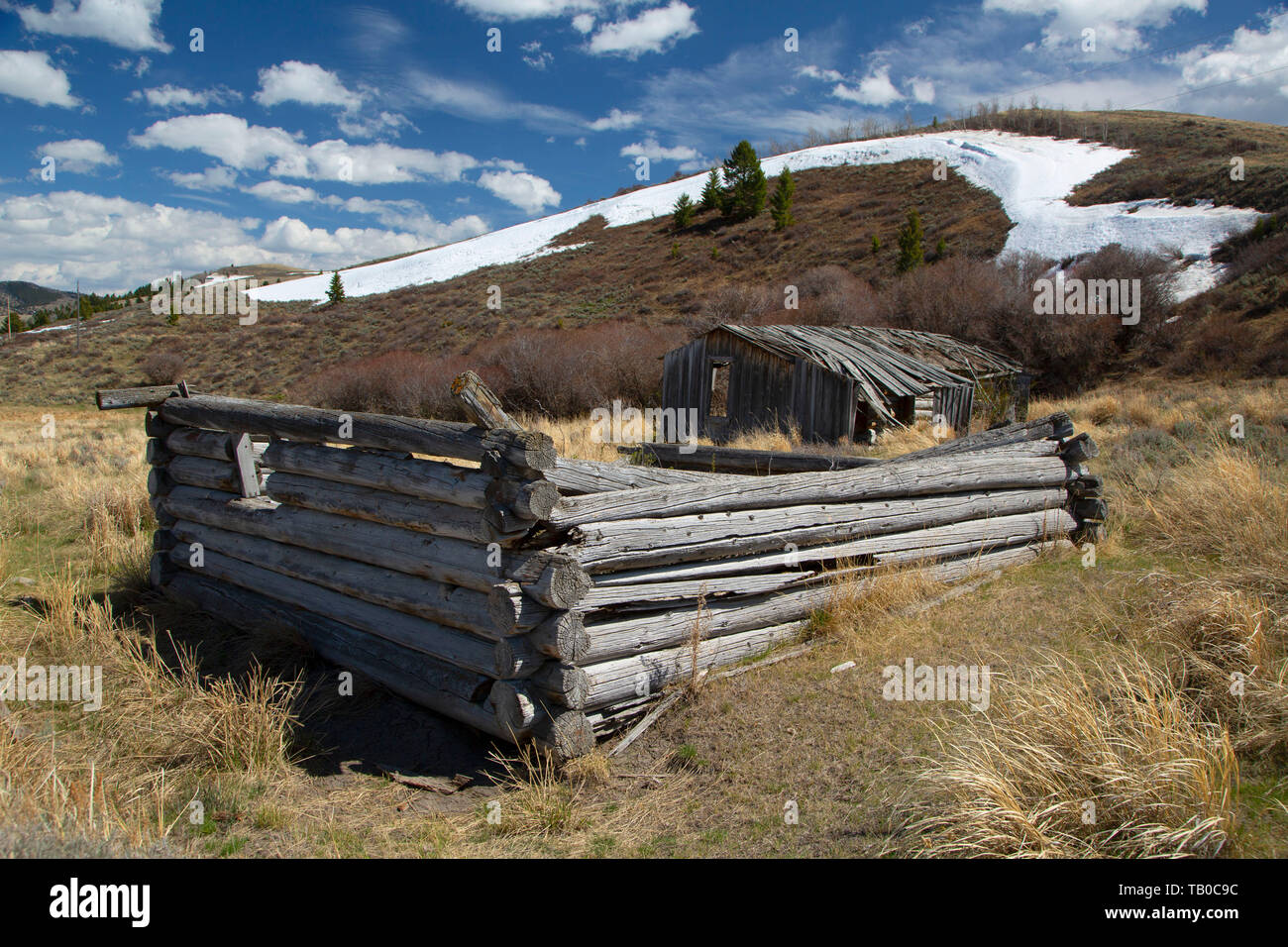 Beaverhead ranch hi-res stock photography and images - Alamy